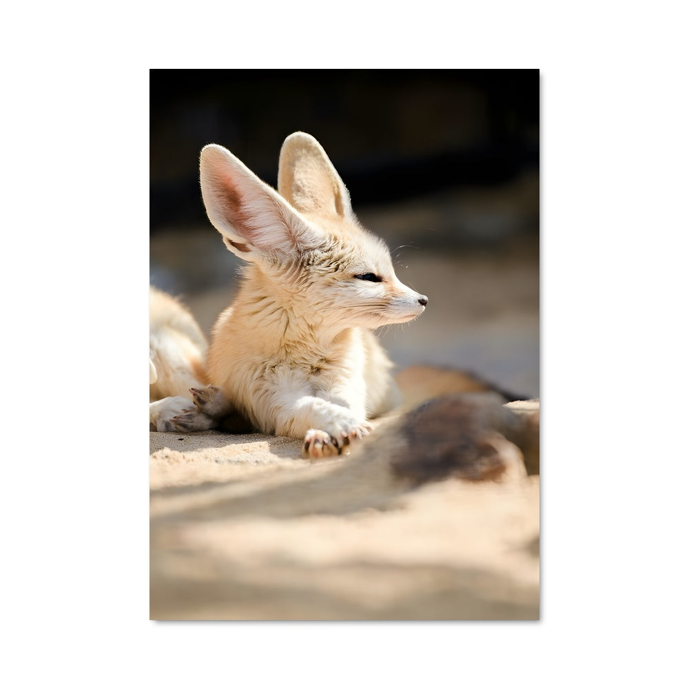 Awakening Fennec Fox Poster – Aesthetic Posters
