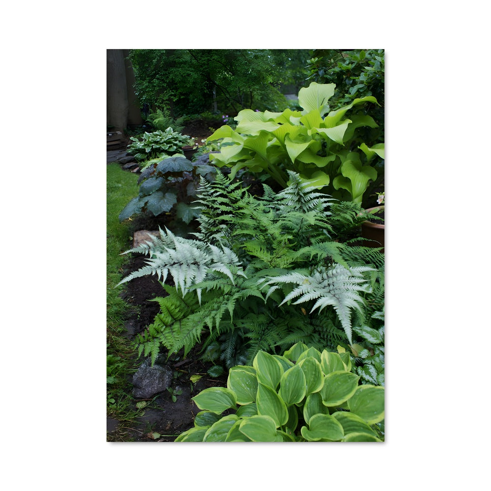 Fern Garden Poster – Aesthetic Posters