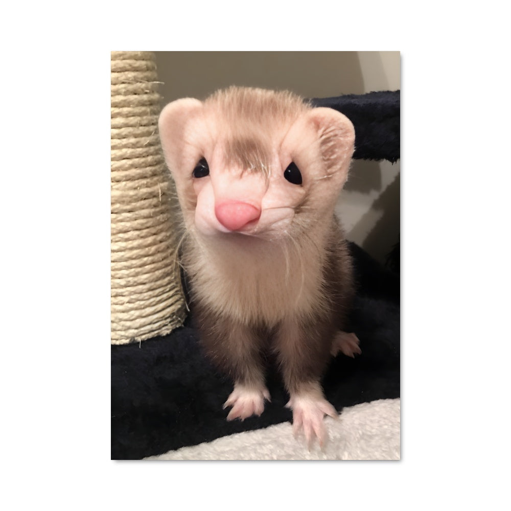 Fantasy Ferret Poster – Aesthetic Posters