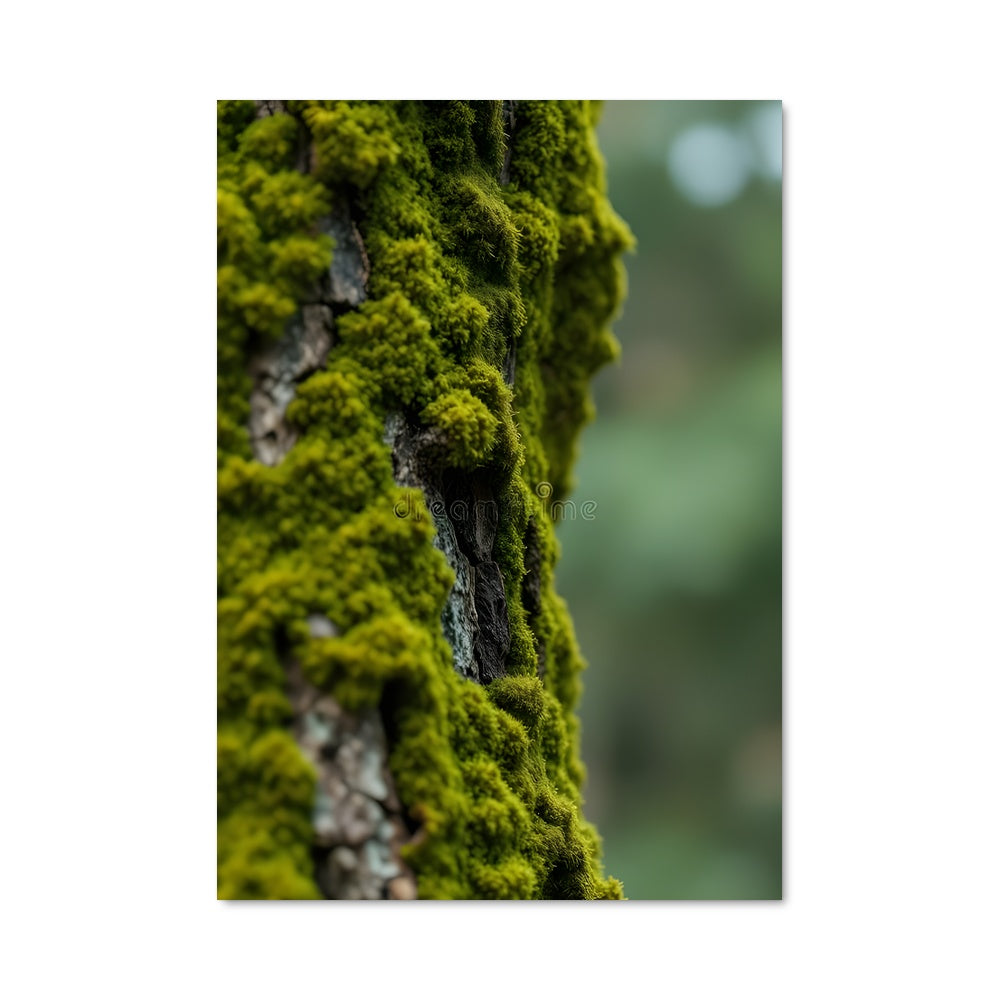 The Enchanted Moss Poster – Aesthetic Posters