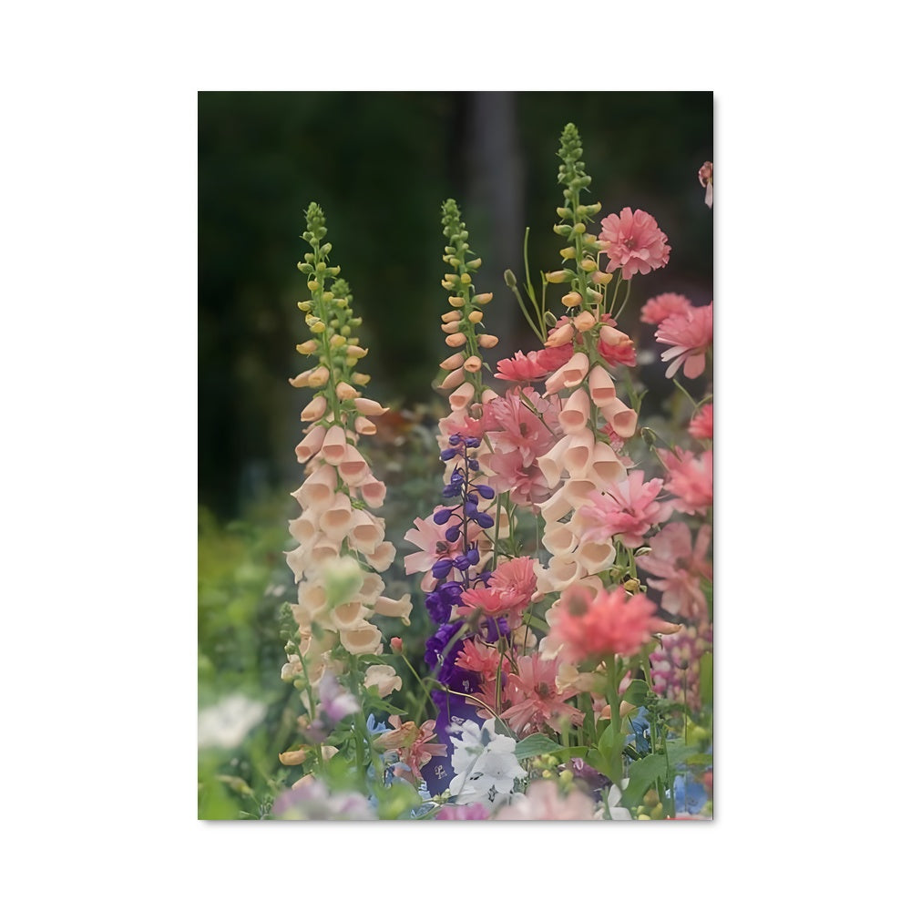 Foxglove Poster – Aesthetic Posters
