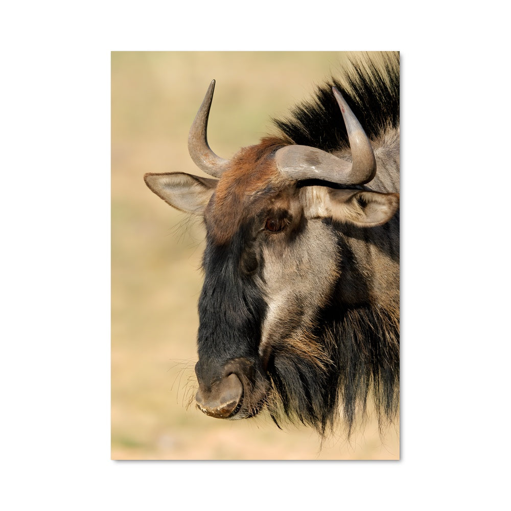 Majestic Horns Poster – Aesthetic Posters
