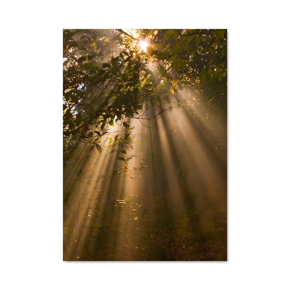 Golden Hour Poster – Aesthetic Posters