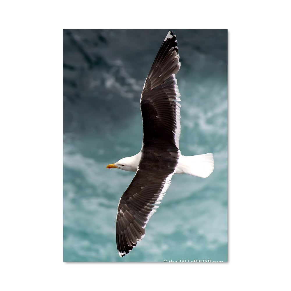 Poster The Flight of the Seagull – Aesthetic Posters
