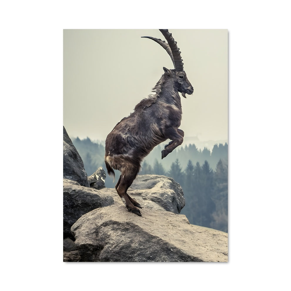 Poster The Raised Ibex – Aesthetic Posters