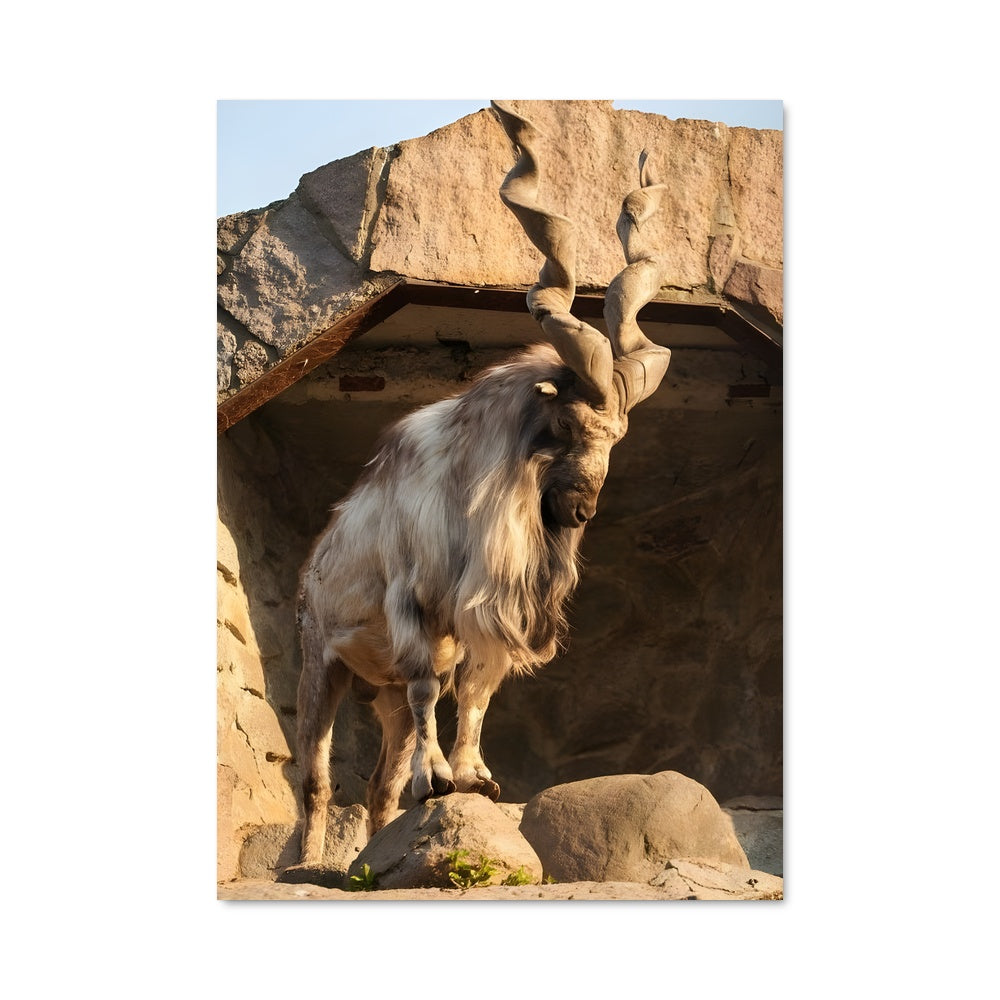 Poster The Tightrope Walker Ibex – Aesthetic Posters