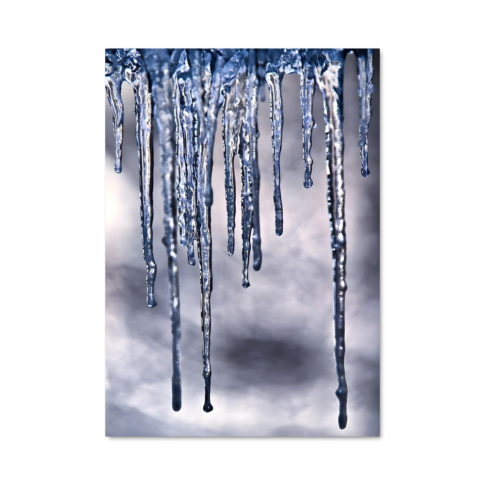 Hanging Frost Poster – Aesthetic Posters