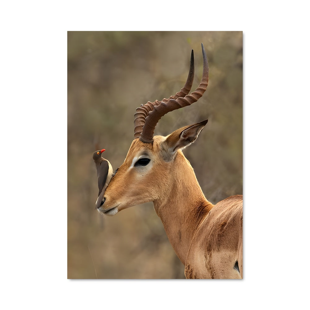 Gazelle Strength Poster – Aesthetic Posters