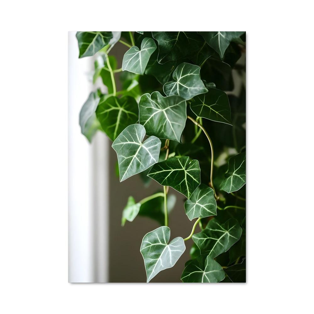Enchanted Ivy Poster – Aesthetic Posters