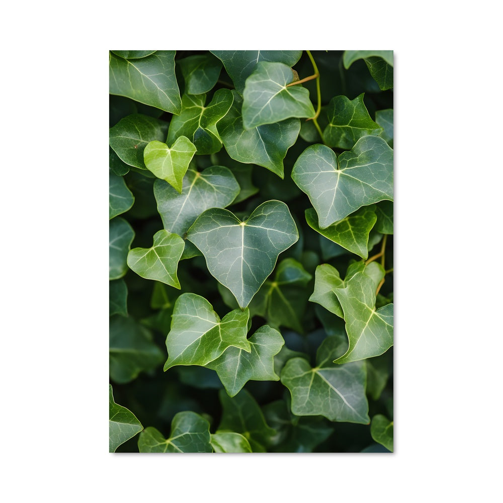 Ivy Poster – Aesthetic Posters