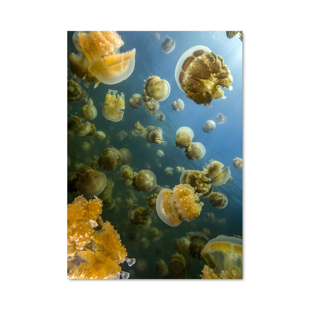 Medusa Dance Poster – Aesthetic Posters