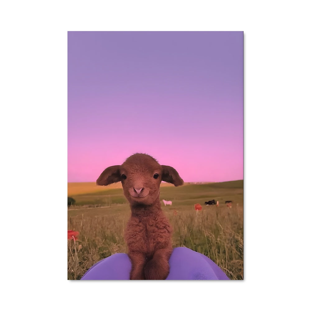 Surprising Lamb Poster – Aesthetic Posters