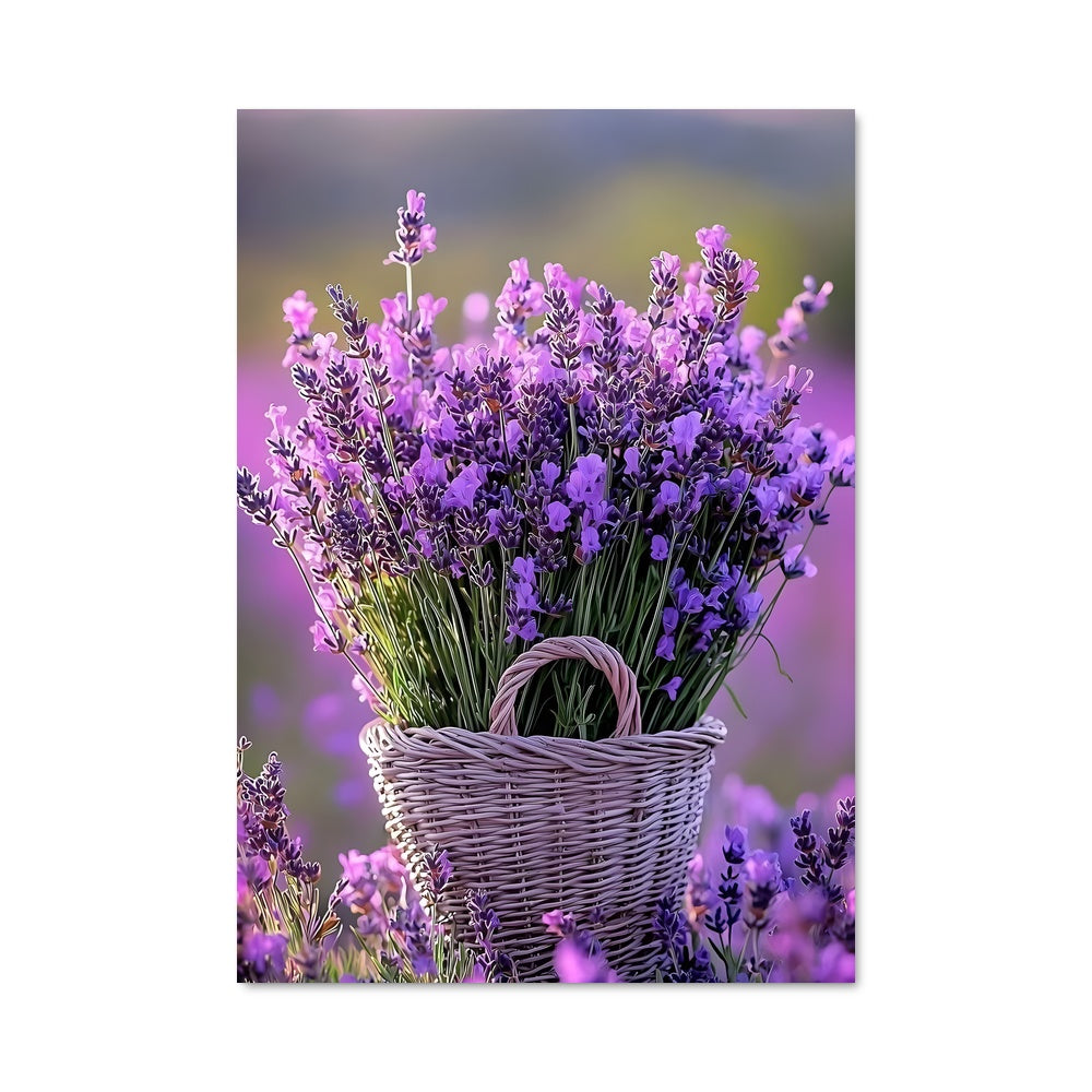 Lavender Festival Poster – Aesthetic Posters
