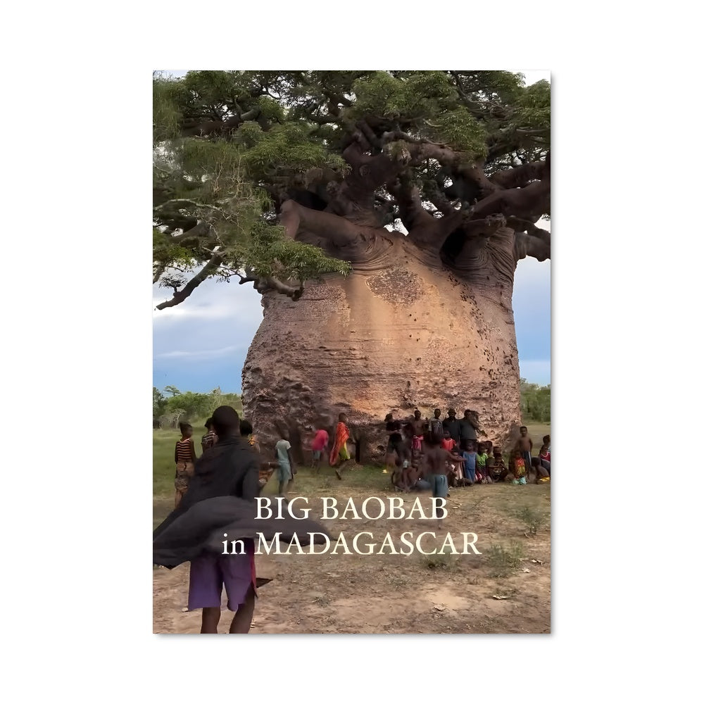 Poster Under the Baobab – Aesthetic Posters