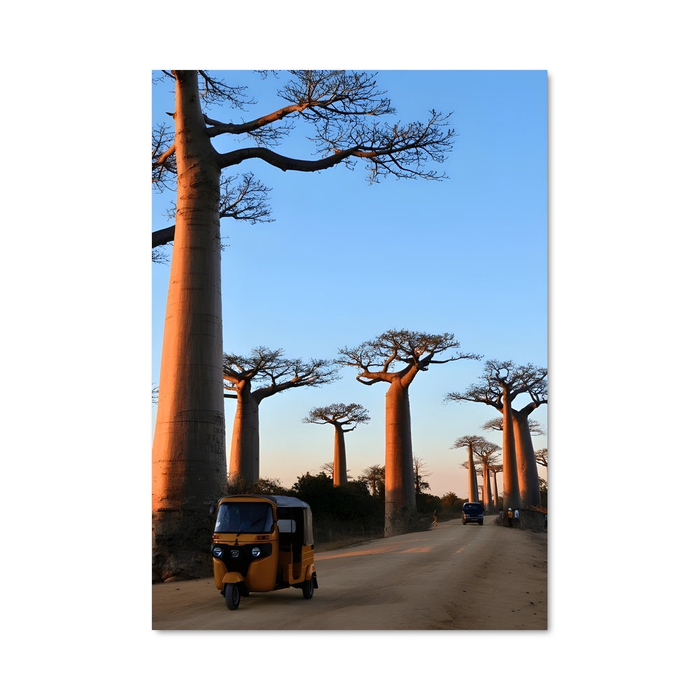 Madagascar Poster – Aesthetic Posters