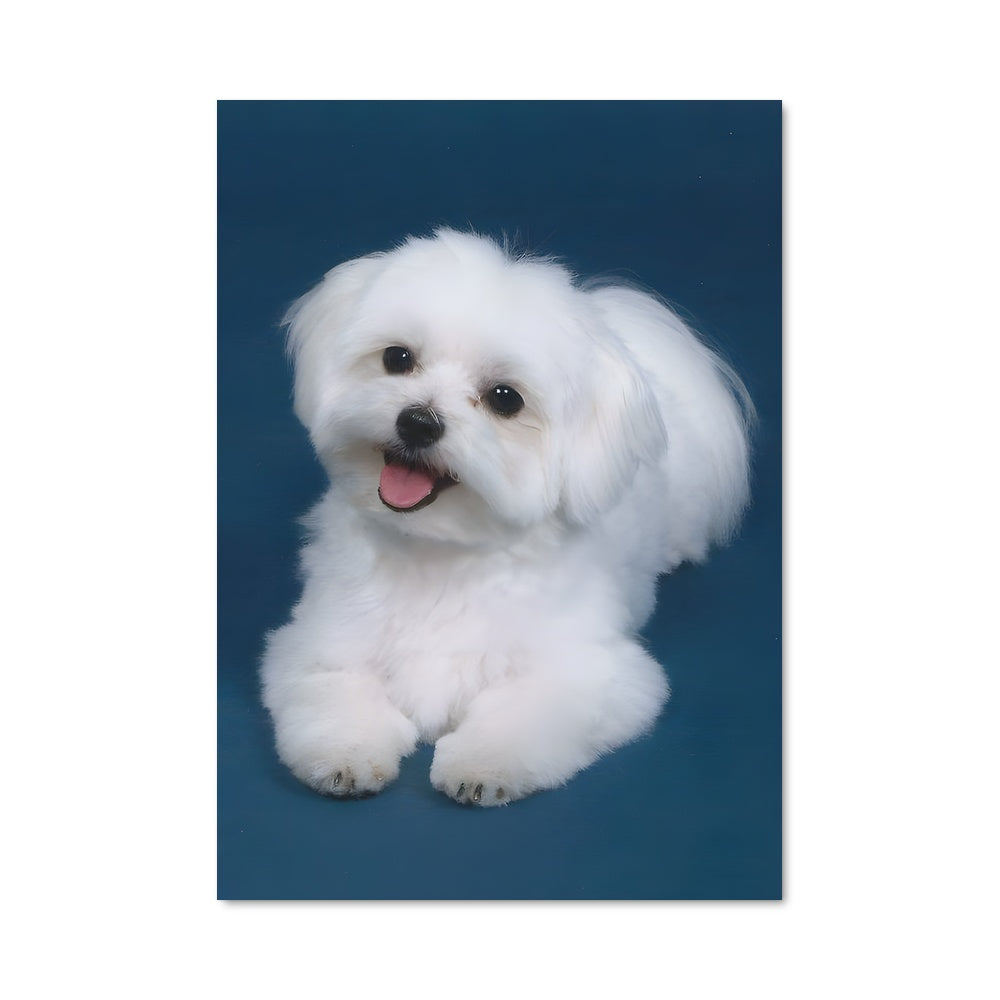 Cute Maltese Poster – Aesthetic Posters