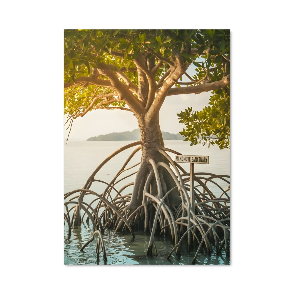 Mangrove Lights Poster – Aesthetic Posters