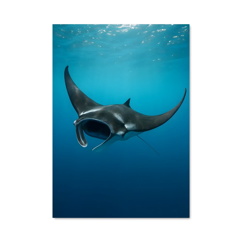 Manta Dance Poster – Aesthetic Posters