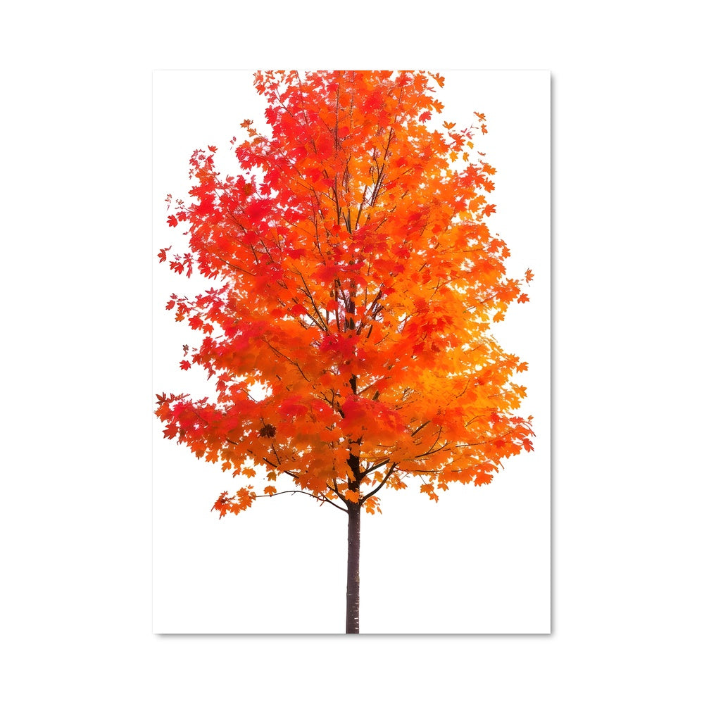 Maple Poster – Aesthetic Posters
