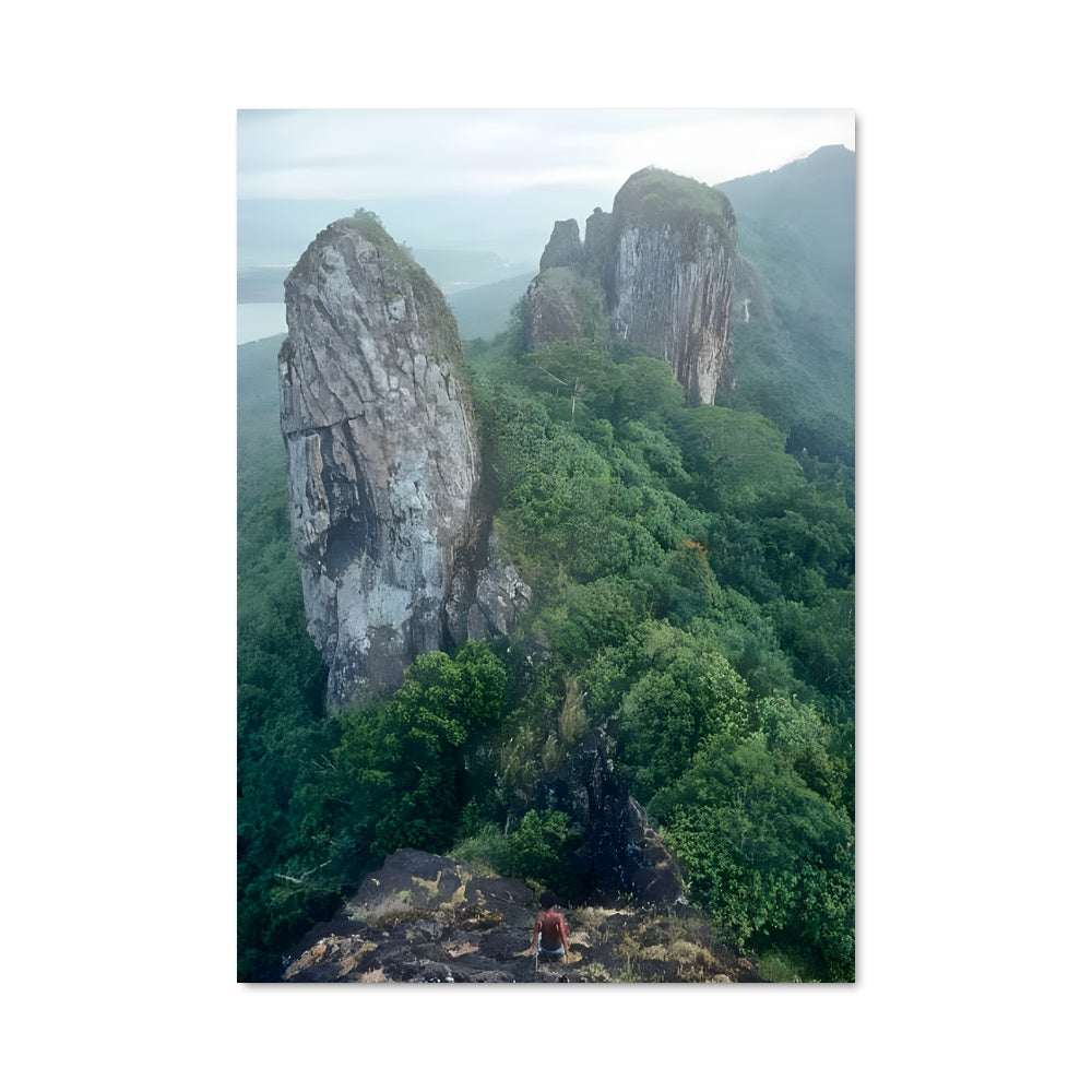 Micronesia Summit Poster – Aesthetic Posters