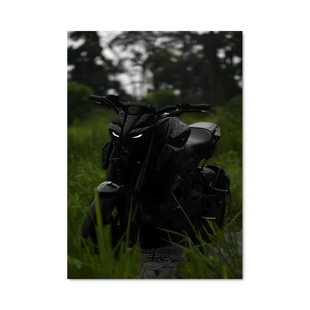 Poster Mt-03 – Aesthetic Posters