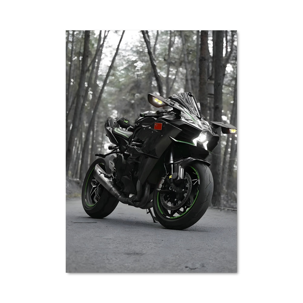 Ninja poster h2r – Aesthetic Posters