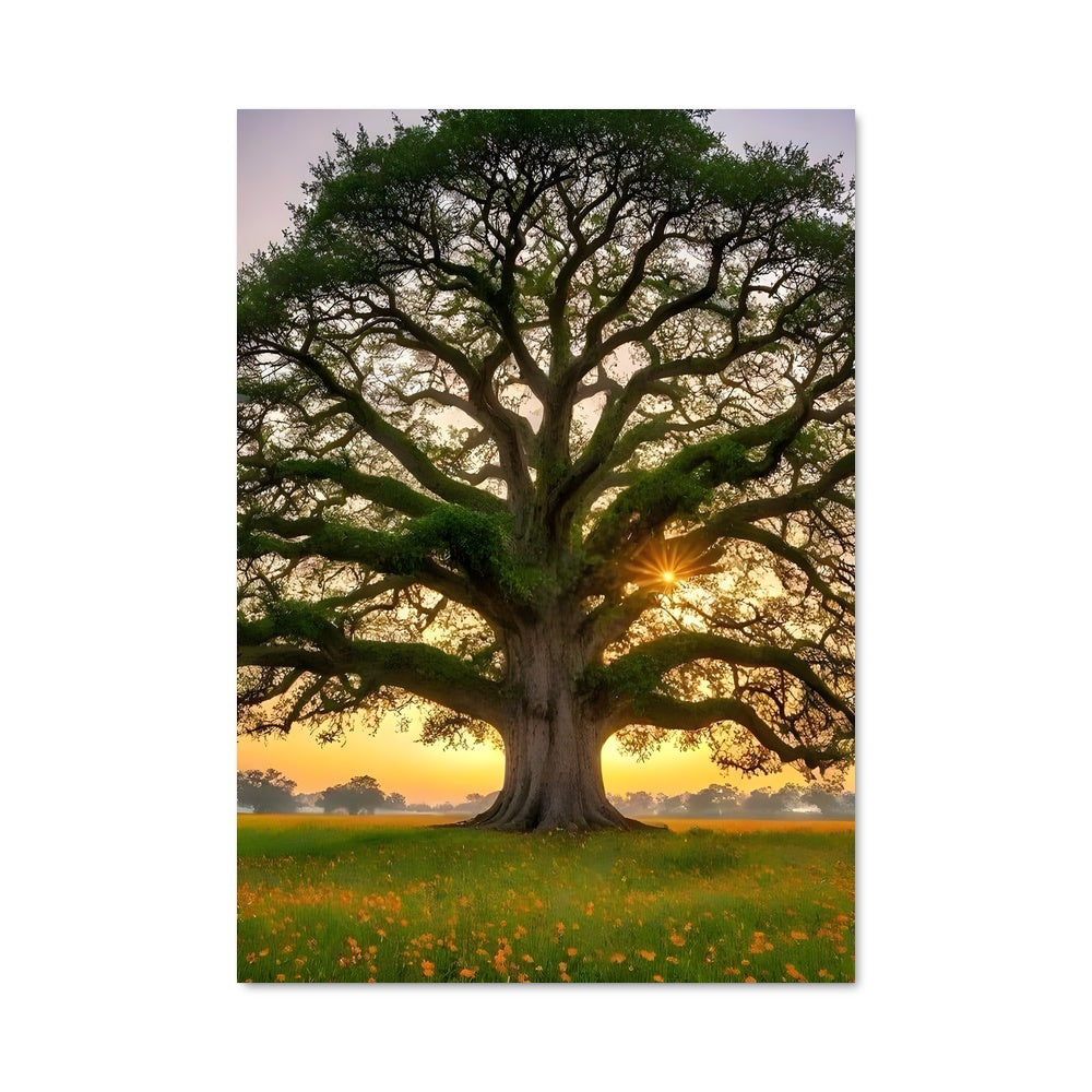 Oak Light Poster – Aesthetic Posters