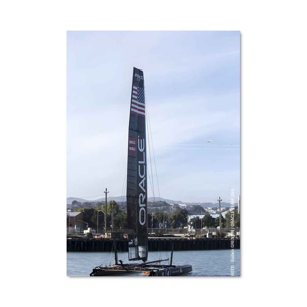 Sail in Flight Poster – Aesthetic Posters