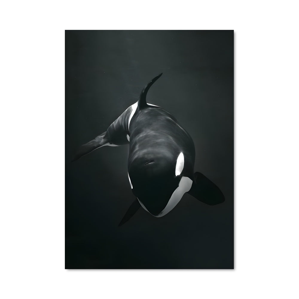 Orca Majesty Poster – Aesthetic Posters