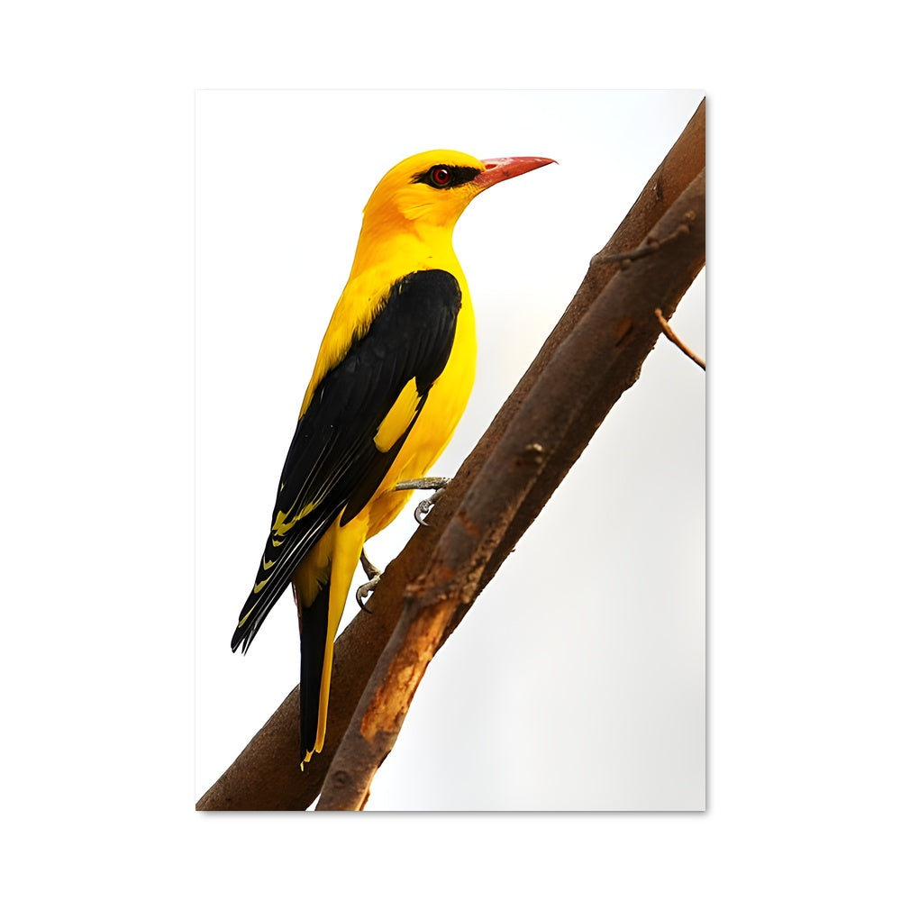 The Enchanted Oriole Poster – Aesthetic Posters