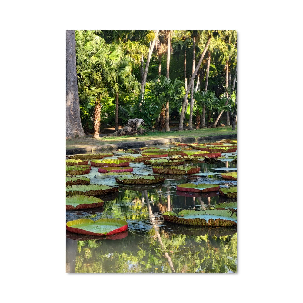 Grapefruit Botanical Garden Poster – Aesthetic Posters