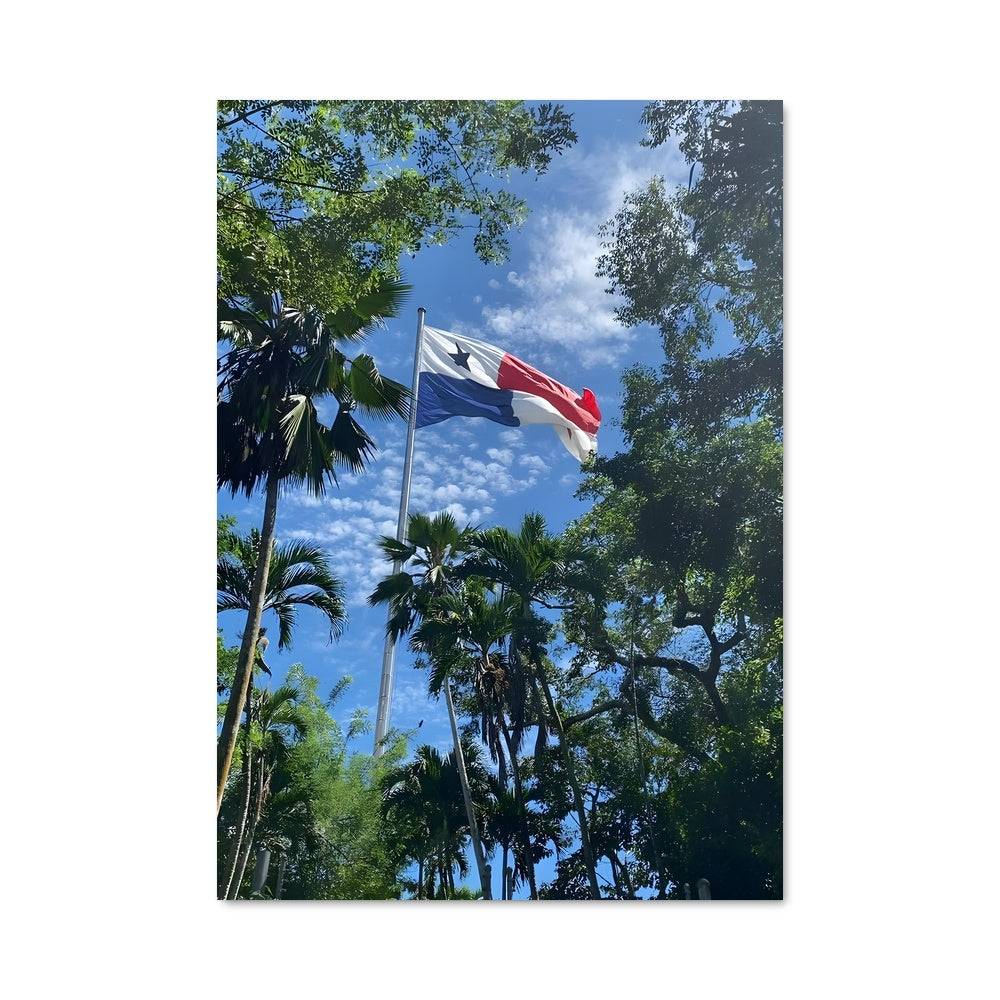 Panama Flag Poster – Aesthetic Posters