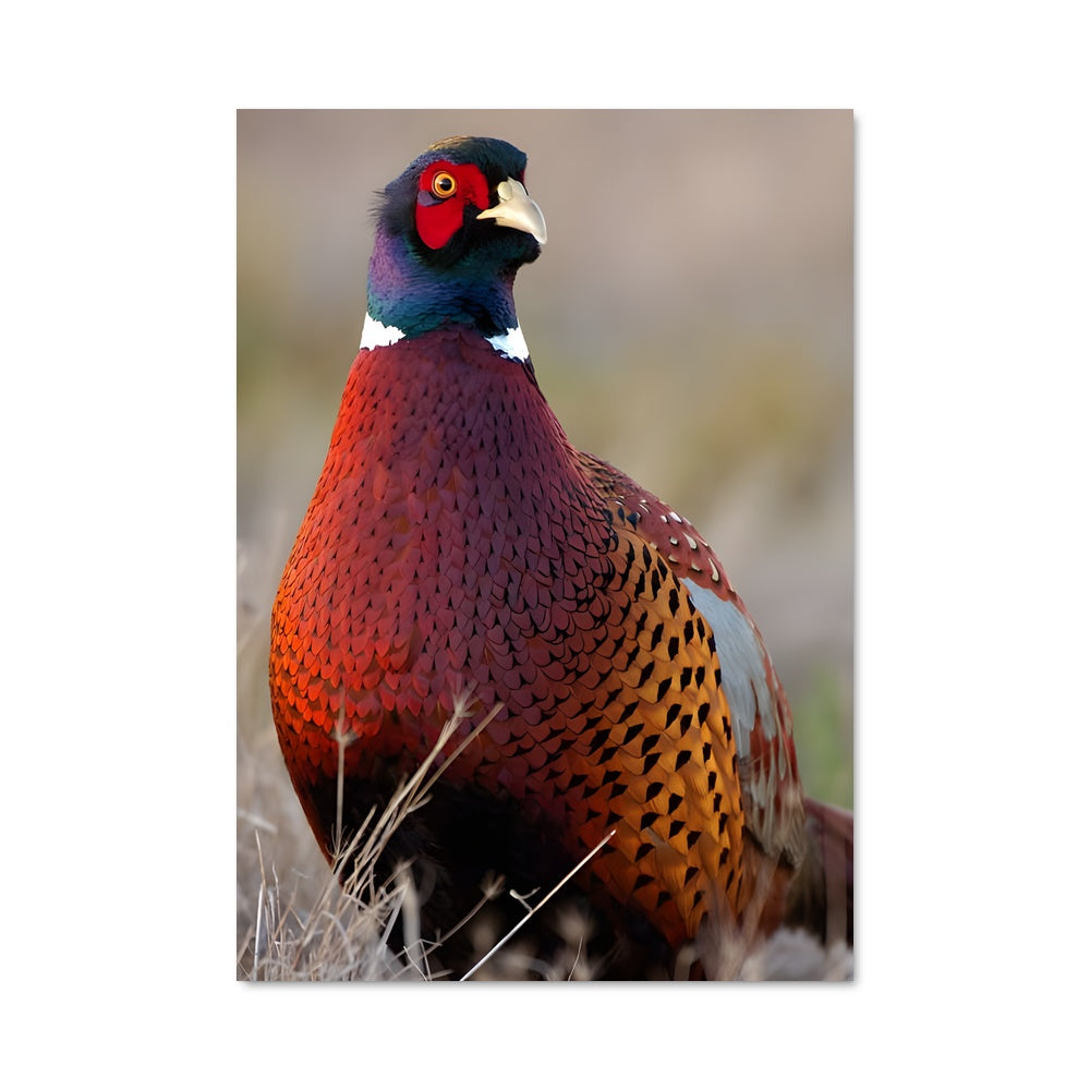 Pheasant Dance Poster – Aesthetic Posters
