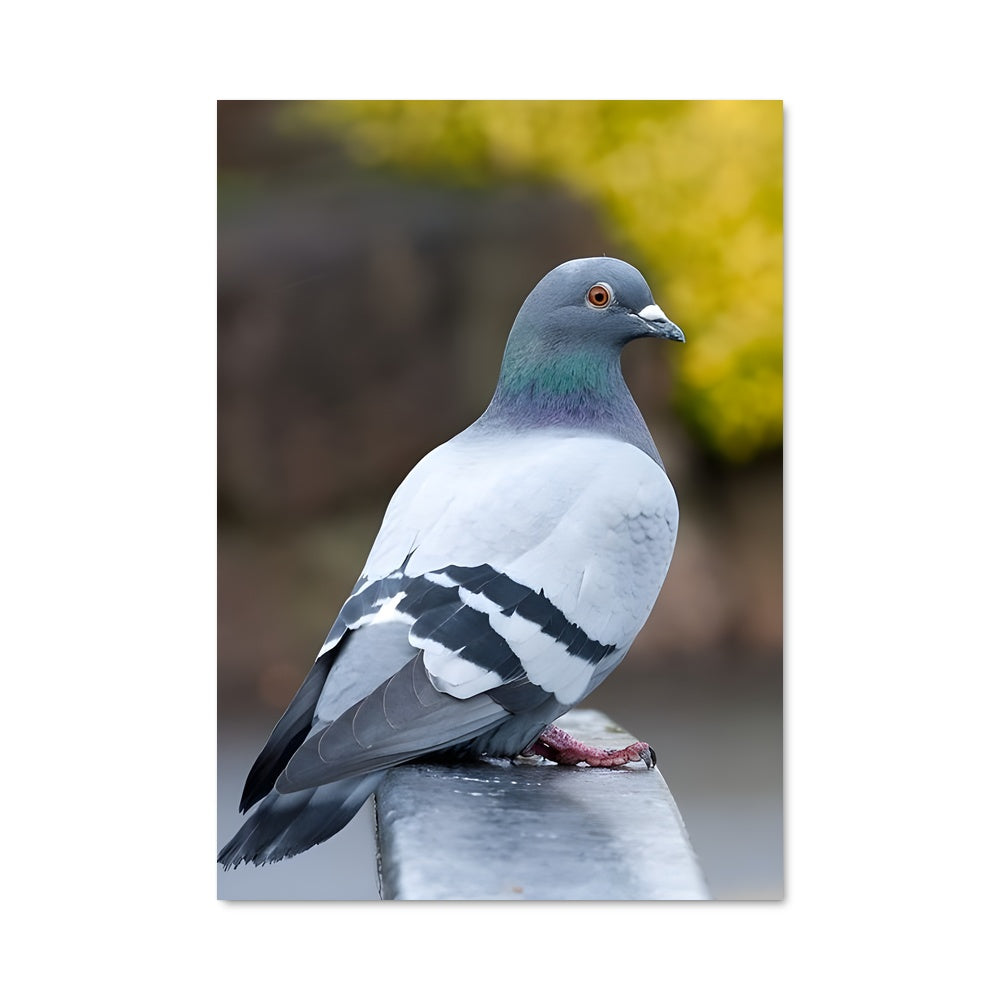 Pigeon Park Poster – Aesthetic Posters