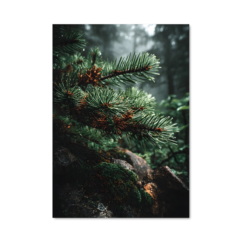 Pine Forest Poster – Aesthetic Posters