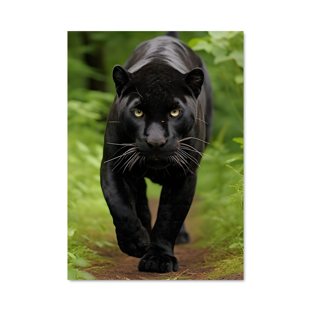 Panthera Walking Poster – Aesthetic Posters