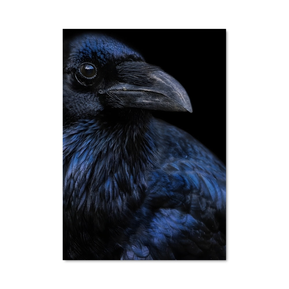Azure Raven Poster – Aesthetic Posters