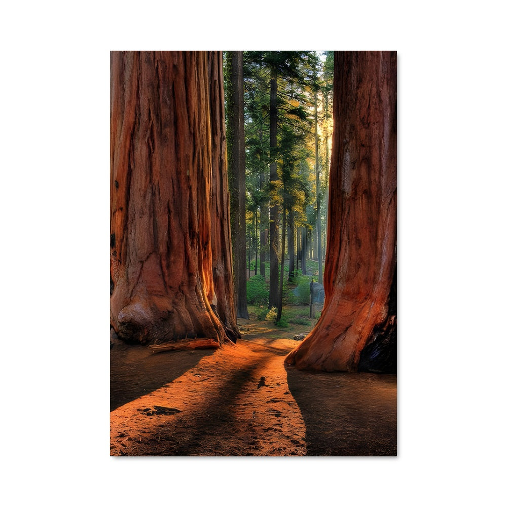 Redwood Lights Poster – Aesthetic Posters