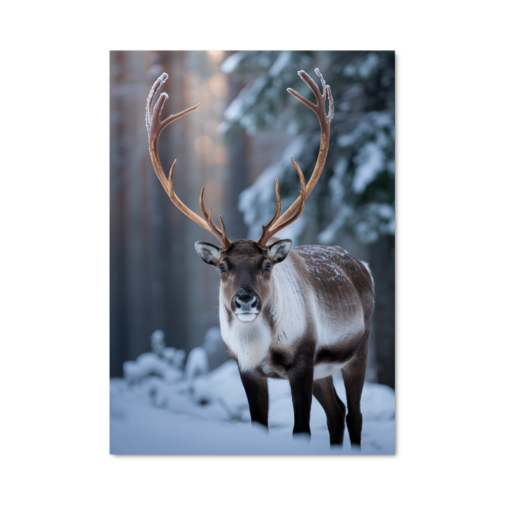 Reindeer Poster – Aesthetic Posters