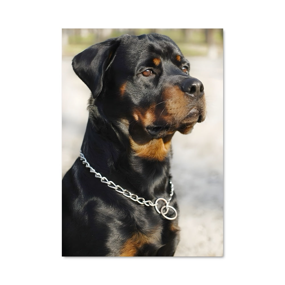 Rottweiler Strength Poster – Aesthetic Posters