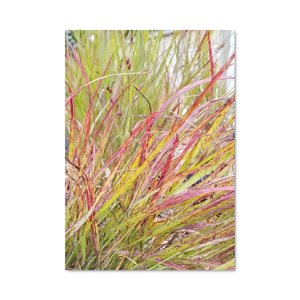 Ruby Leaves Poster – Aesthetic Posters
