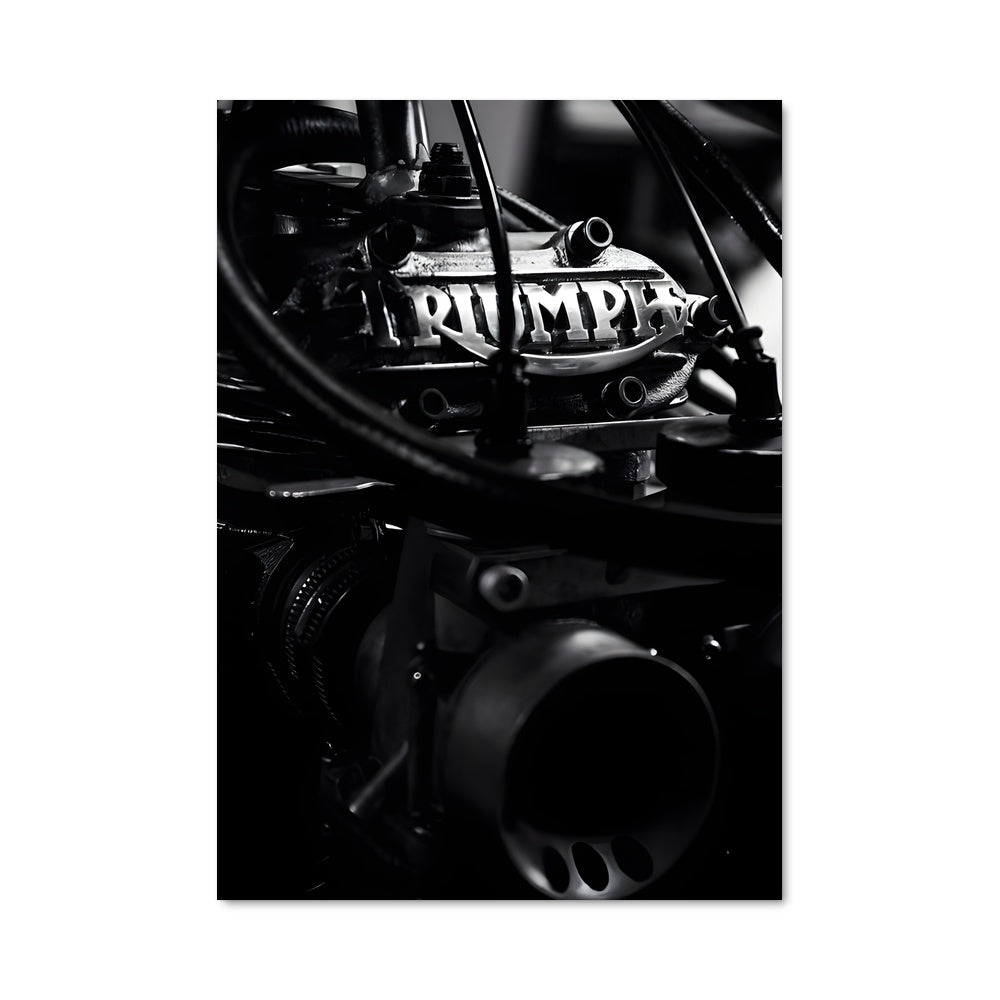 Triumph poster – Aesthetic Posters