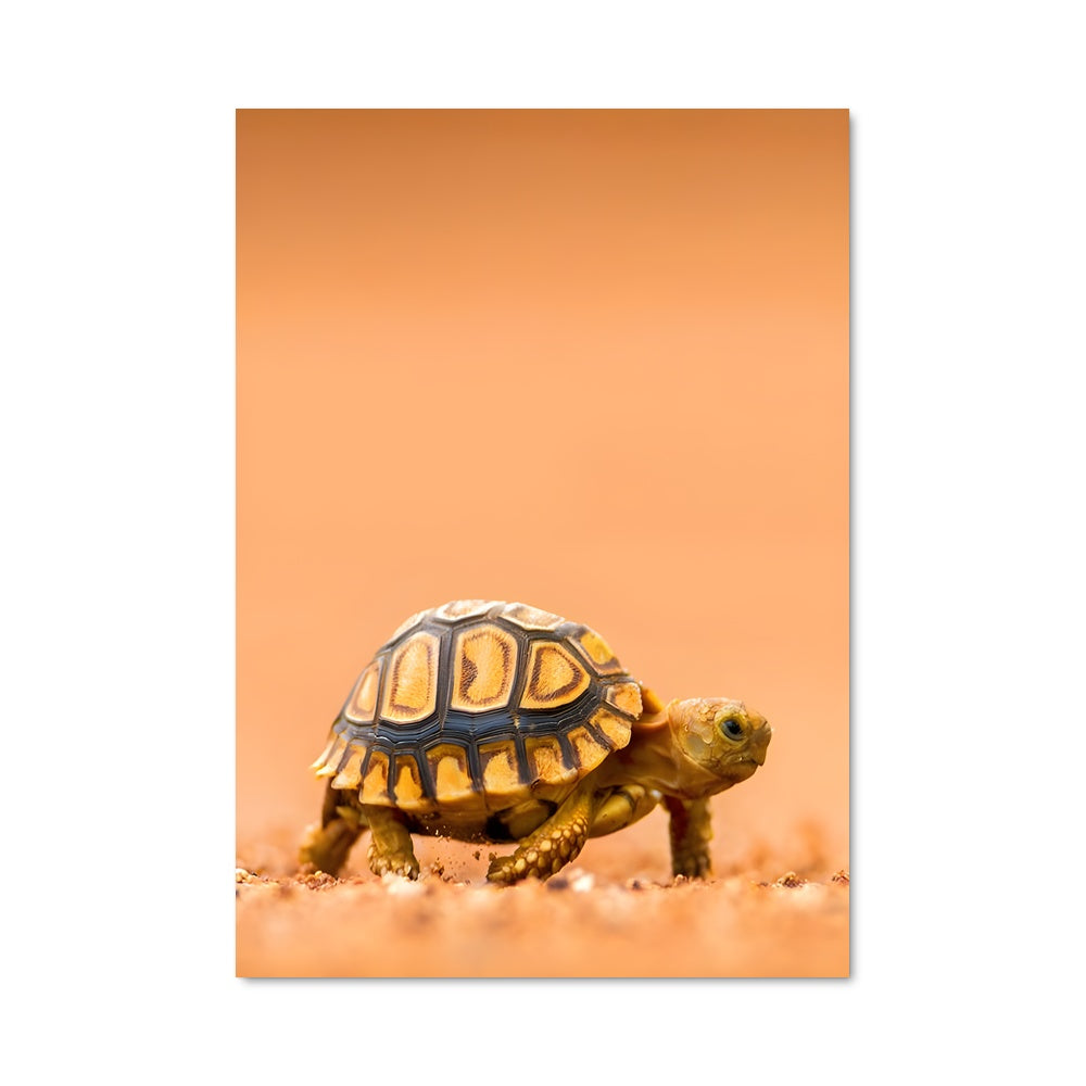 Little Traveler Poster – Aesthetic Posters