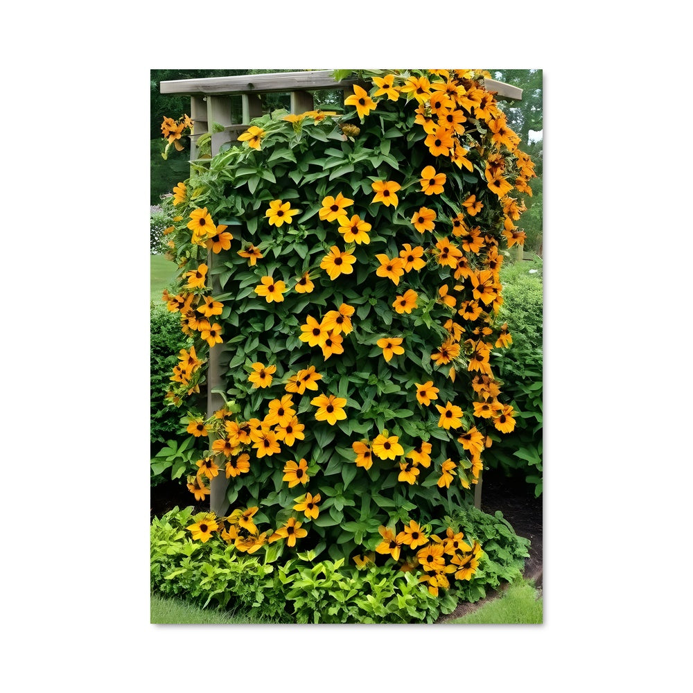 Virginia Creeper Poster – Aesthetic Posters