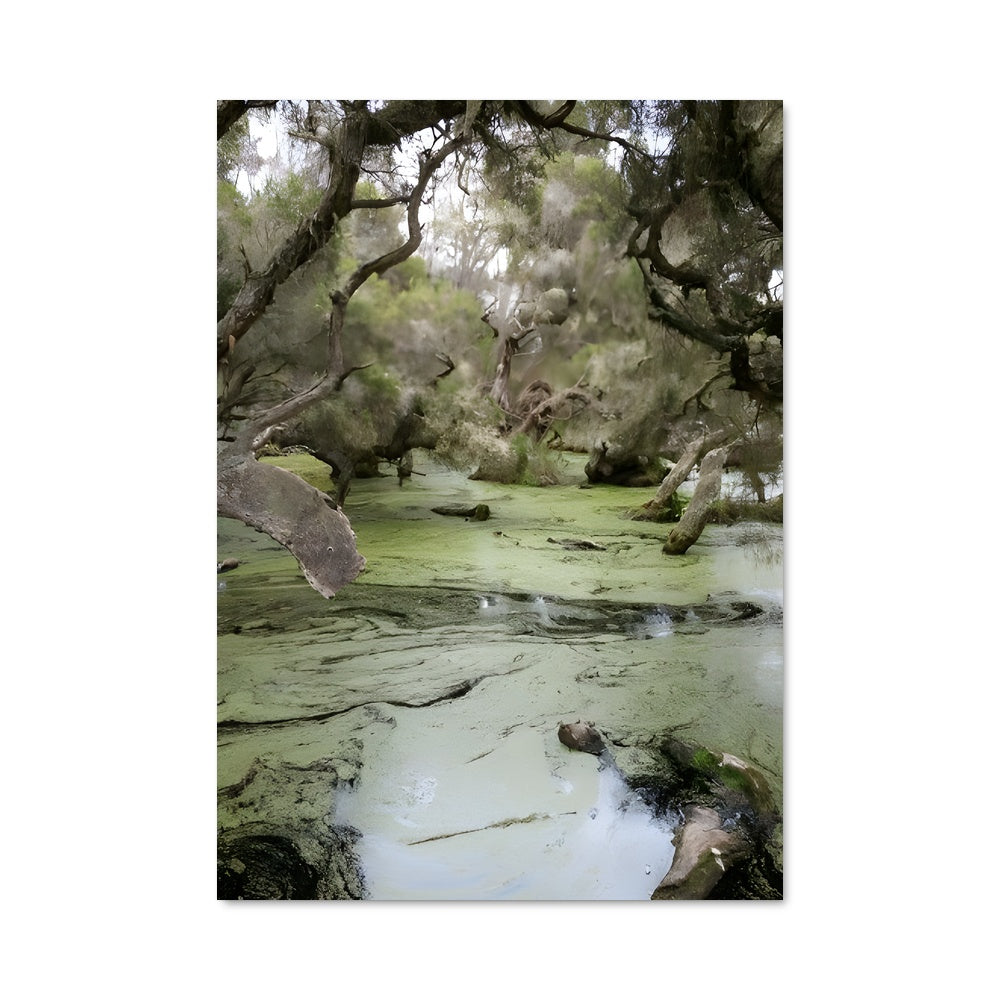 Mystic Swamp Poster – Aesthetic Posters