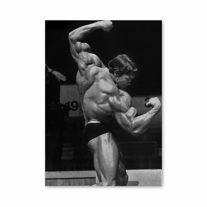 Arnold Schwarzenegger Posters | Aesthetic Posters