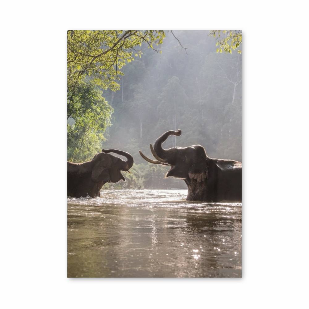 Poster Elephant Asia | Aesthetic Posters