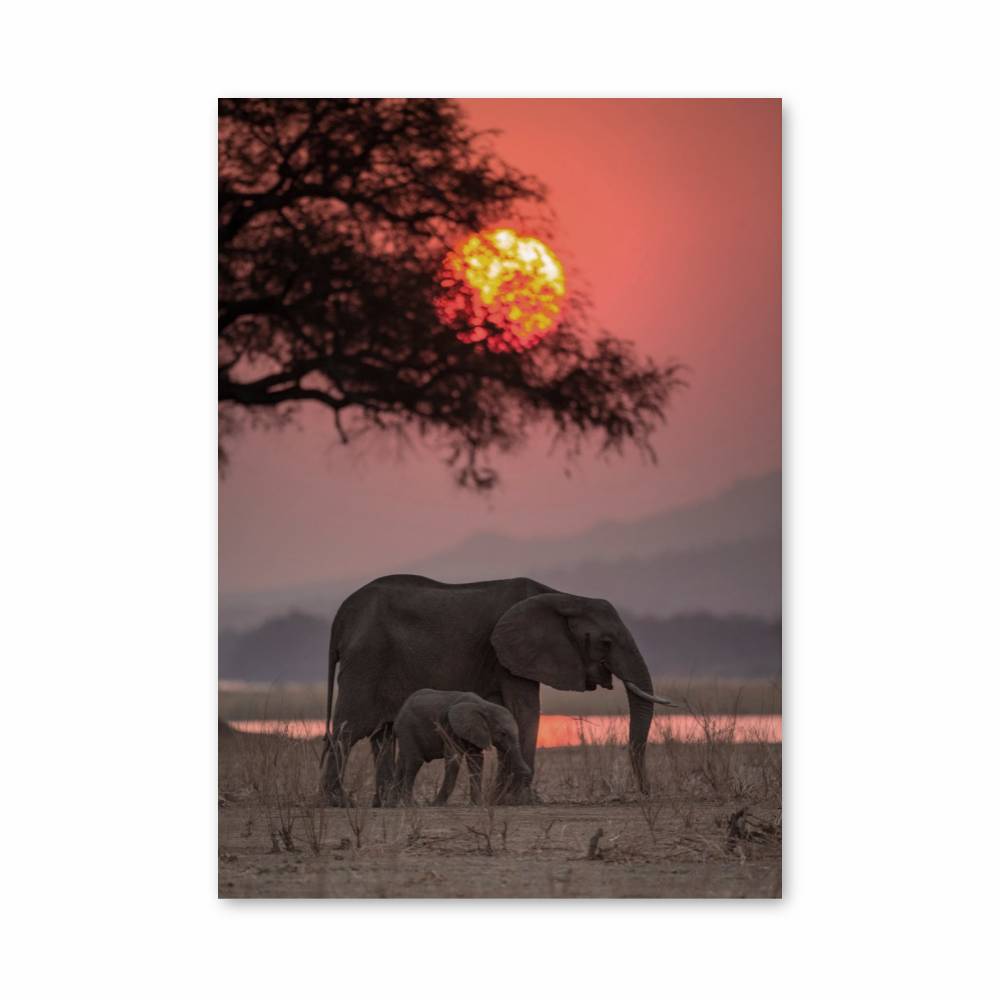 Aurora Elephant Poster | Aesthetic Posters