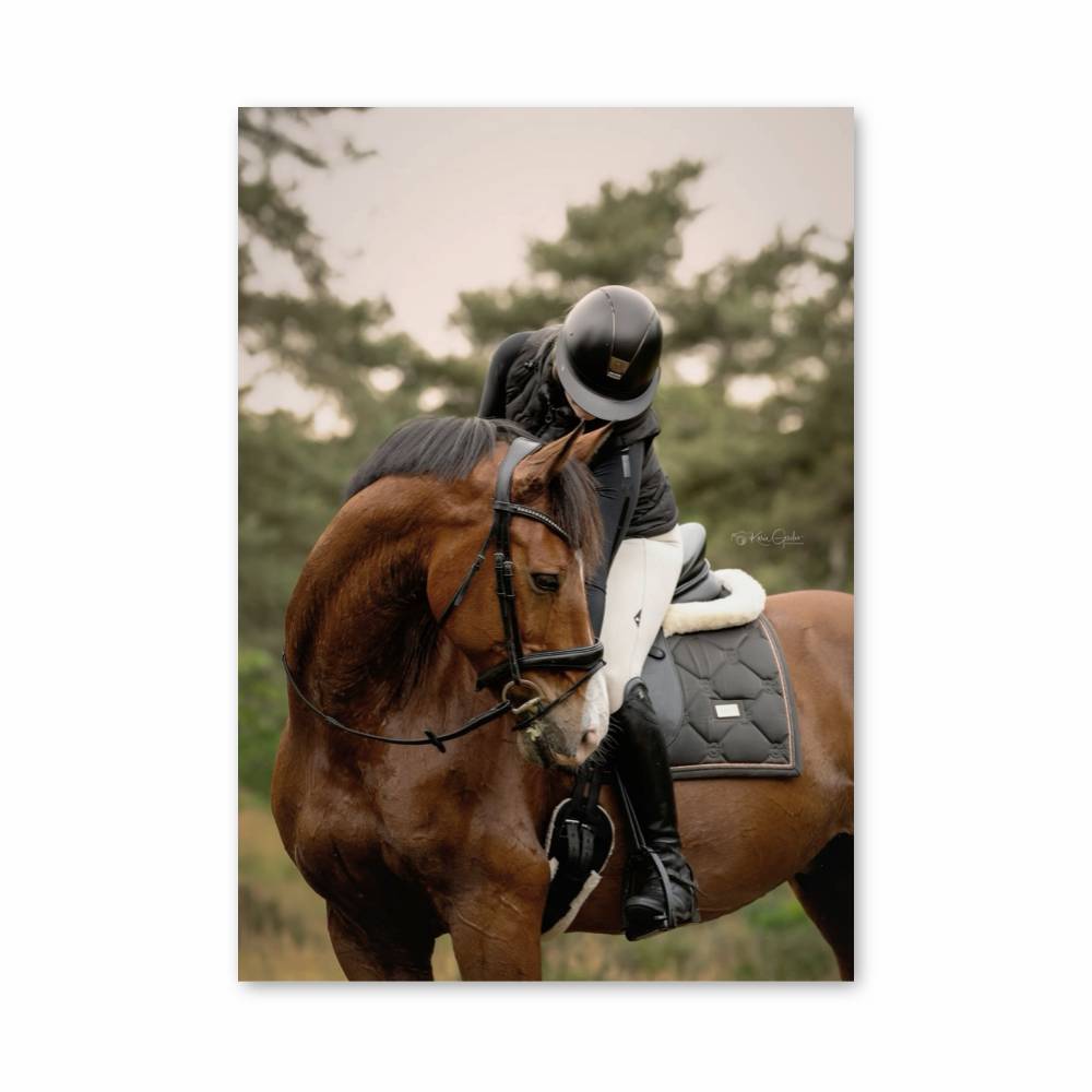 Horse Riding Poster | Aesthetic Posters