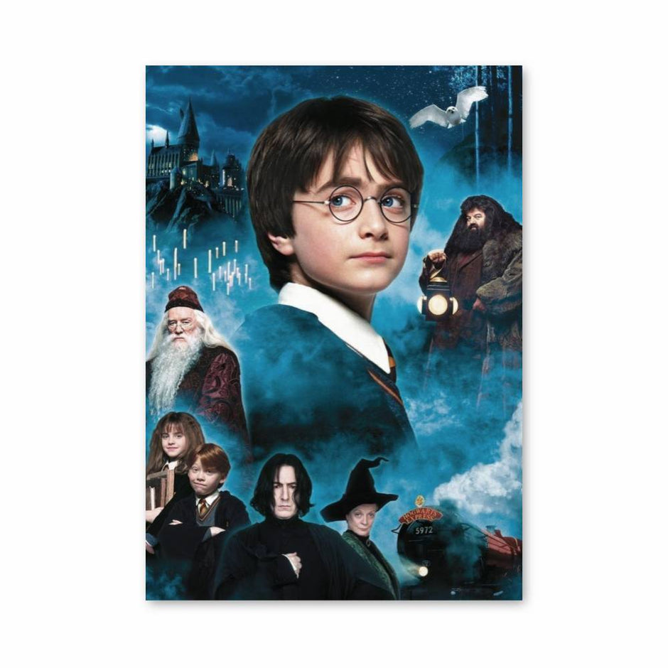 Harry Potter Posters | Aesthetic Posters
